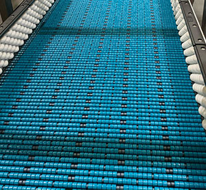 Loose Container Belt Conveyor Systems - Supply and Installation